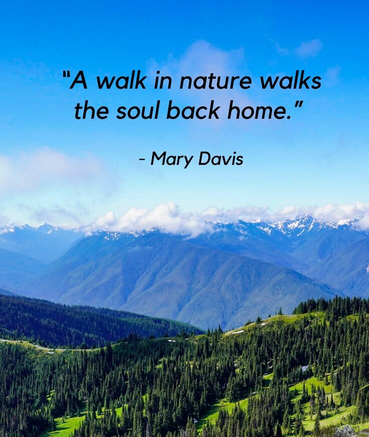 “A walk in nature walks the soul back home.” - Mary Davis