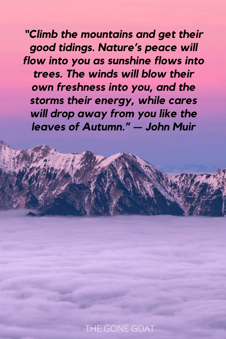 46. “ The clearest way into the Universe is through a forest wilderness ...