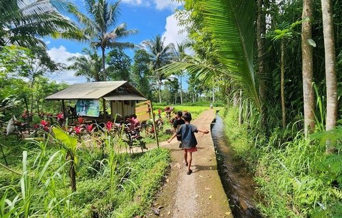 local kids guiding me to the waterfall amidst rice fields