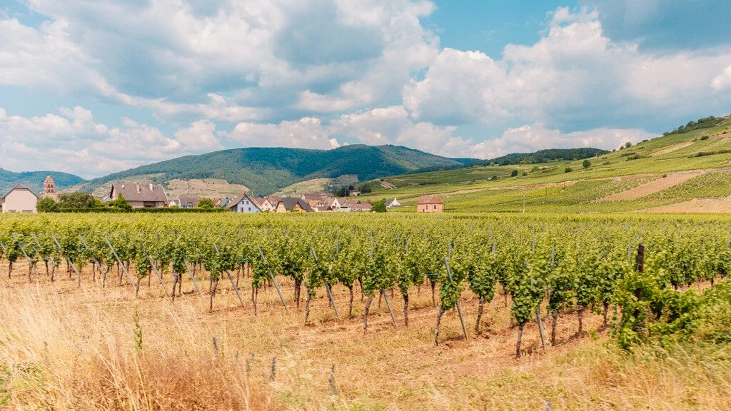 Located in northeastern France on the west bank of the upper Rhine ...