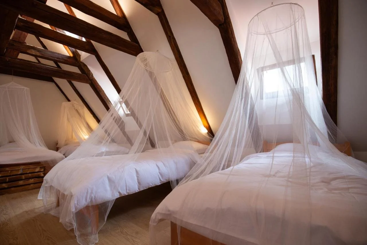 Hostels For Women: The Best Hostels for Staying in 2024! — The Gone Goat