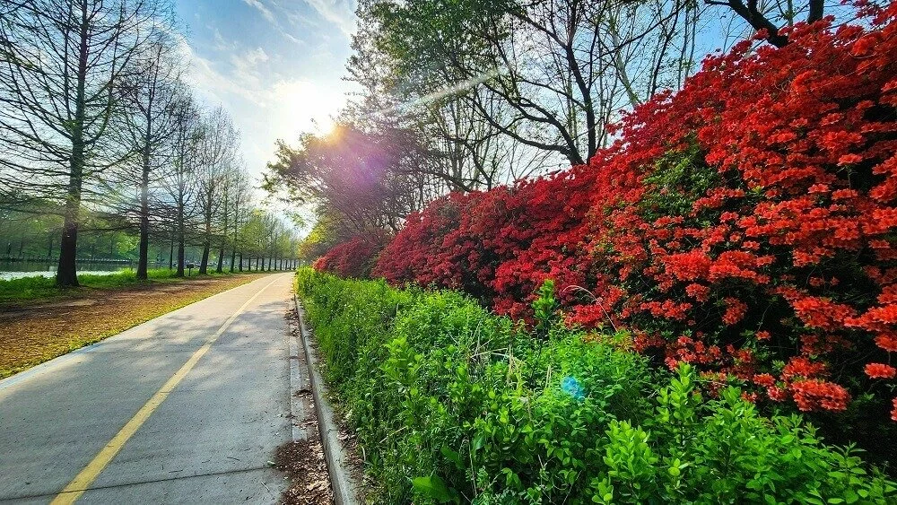 a look at some of the gorgeous countryside in south korea