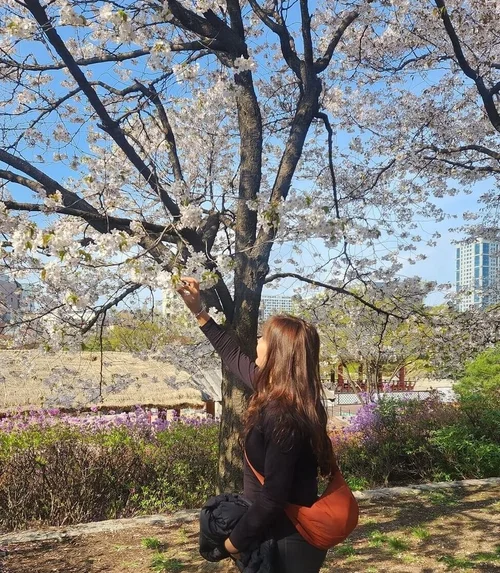 visiting namsan seoul park