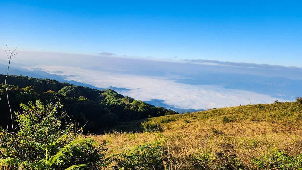 splendid views of the mountain
