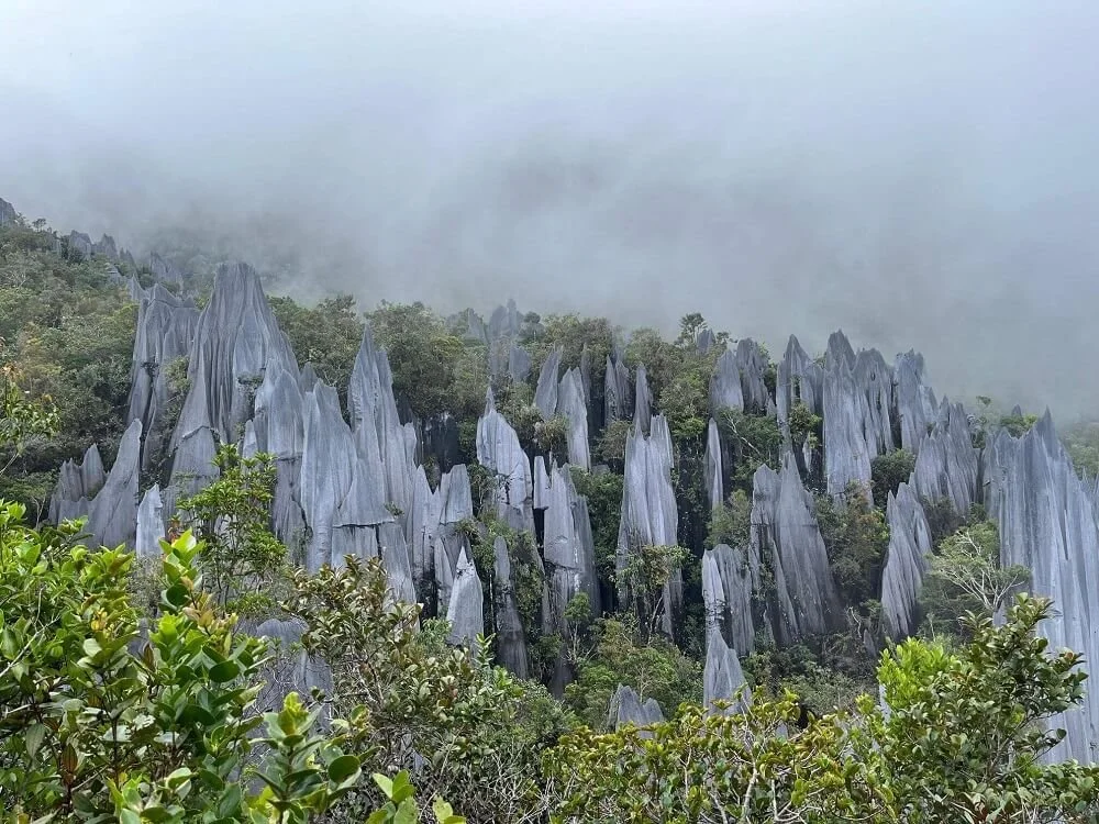 Hiking Mulu Pinnacles: The Complete Guide To Trekking These Tough Peaks ...