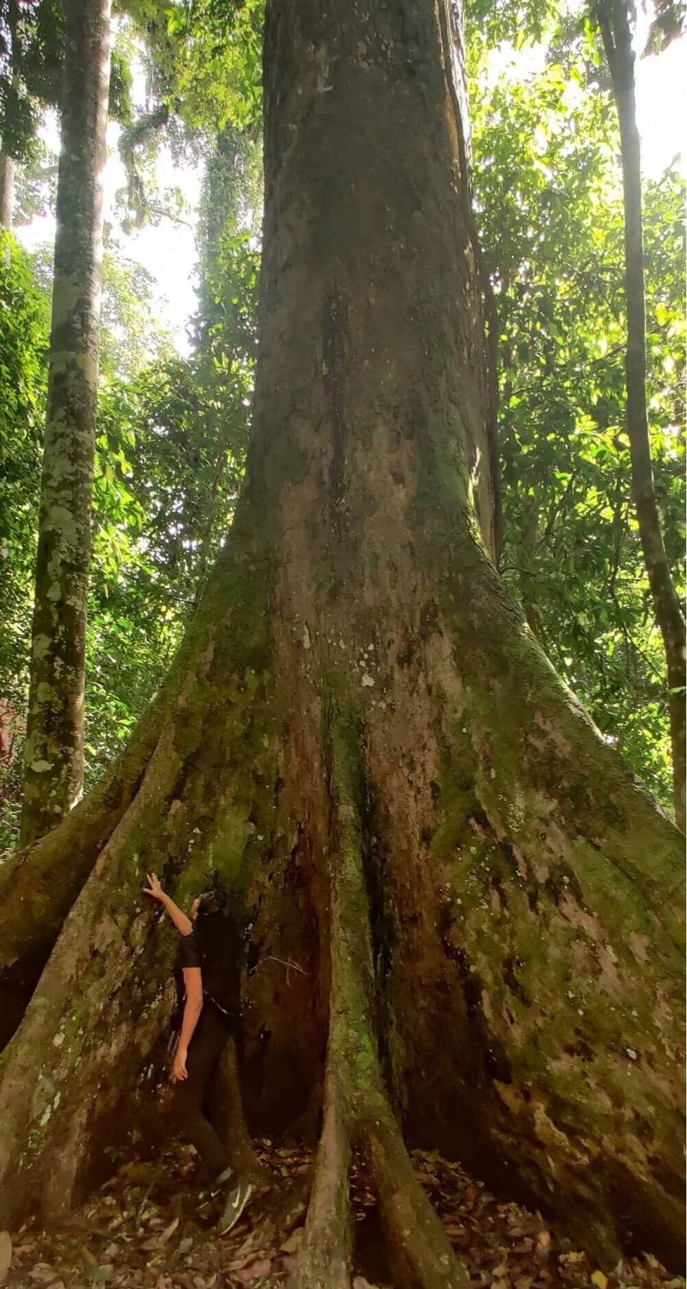 17 Offbeat Borneo Places To Visit + Itinerary: Sabah, Sarawak, Brunei ...