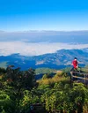the top of the peak at doi inthanon national park on the kew mae pan trail