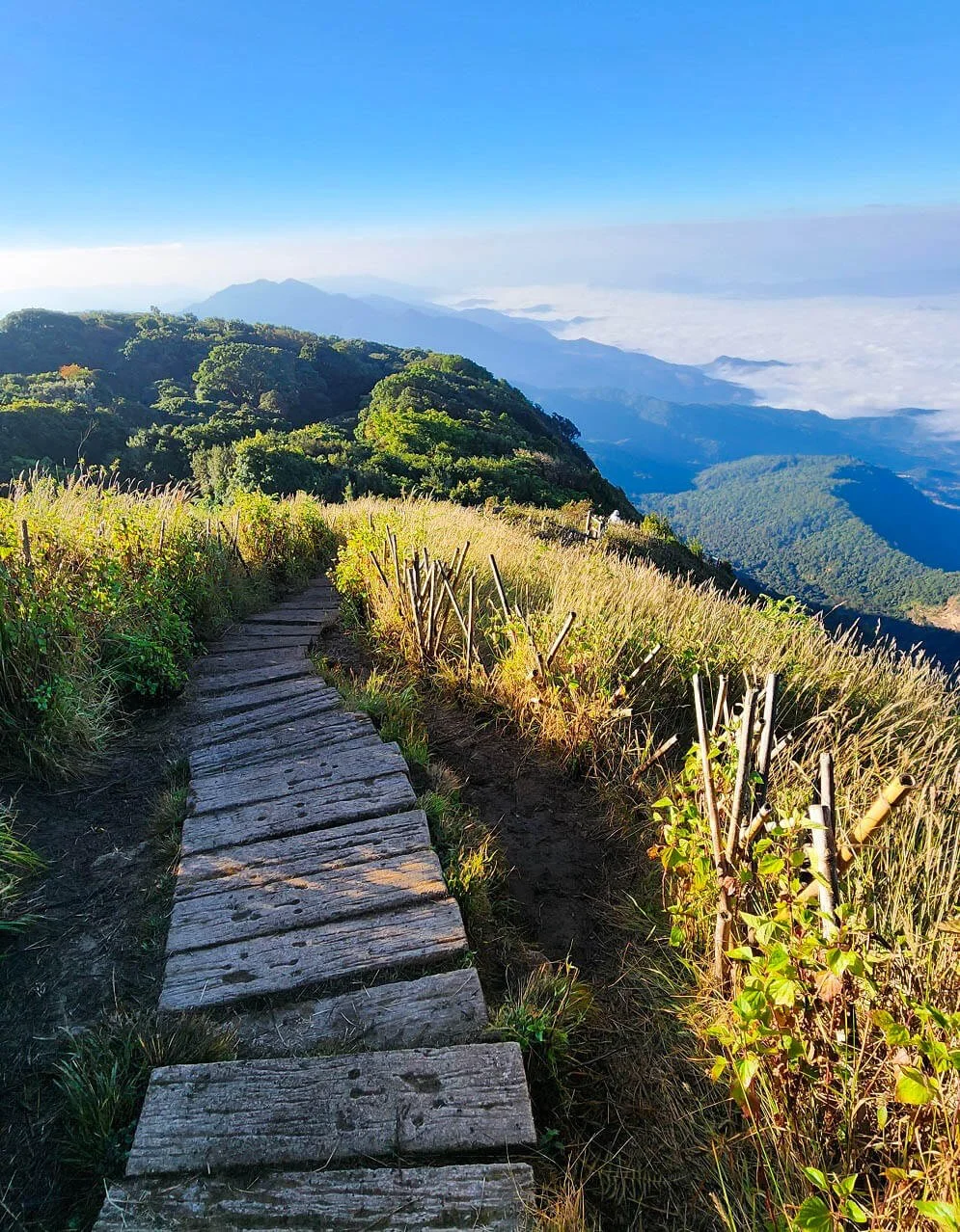 ridgeline view when hiking