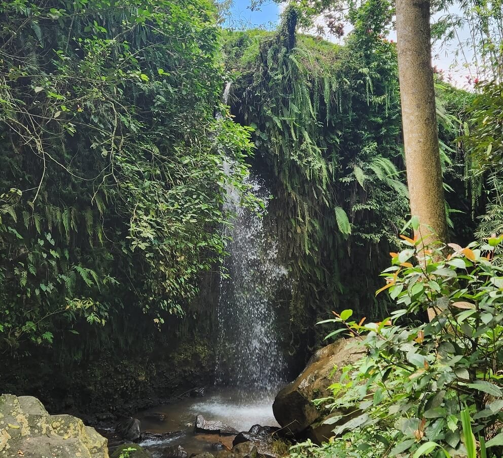 one of the waterfalls in this area: tetebatu waterfall
