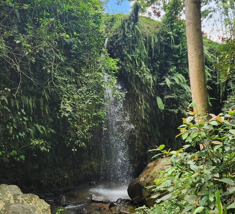 one of the waterfalls in this area: tetebatu waterfall