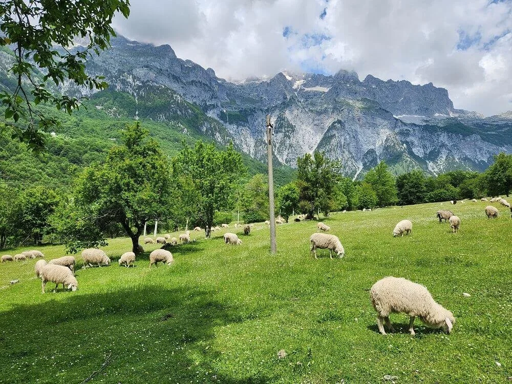 Hiking The Peaks of The Balkans Trail: Along the Accursed Mountains ...