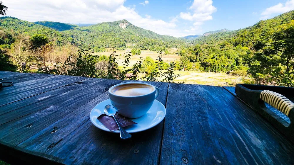 amazing coffee at doi inthanon national park in one of their villages