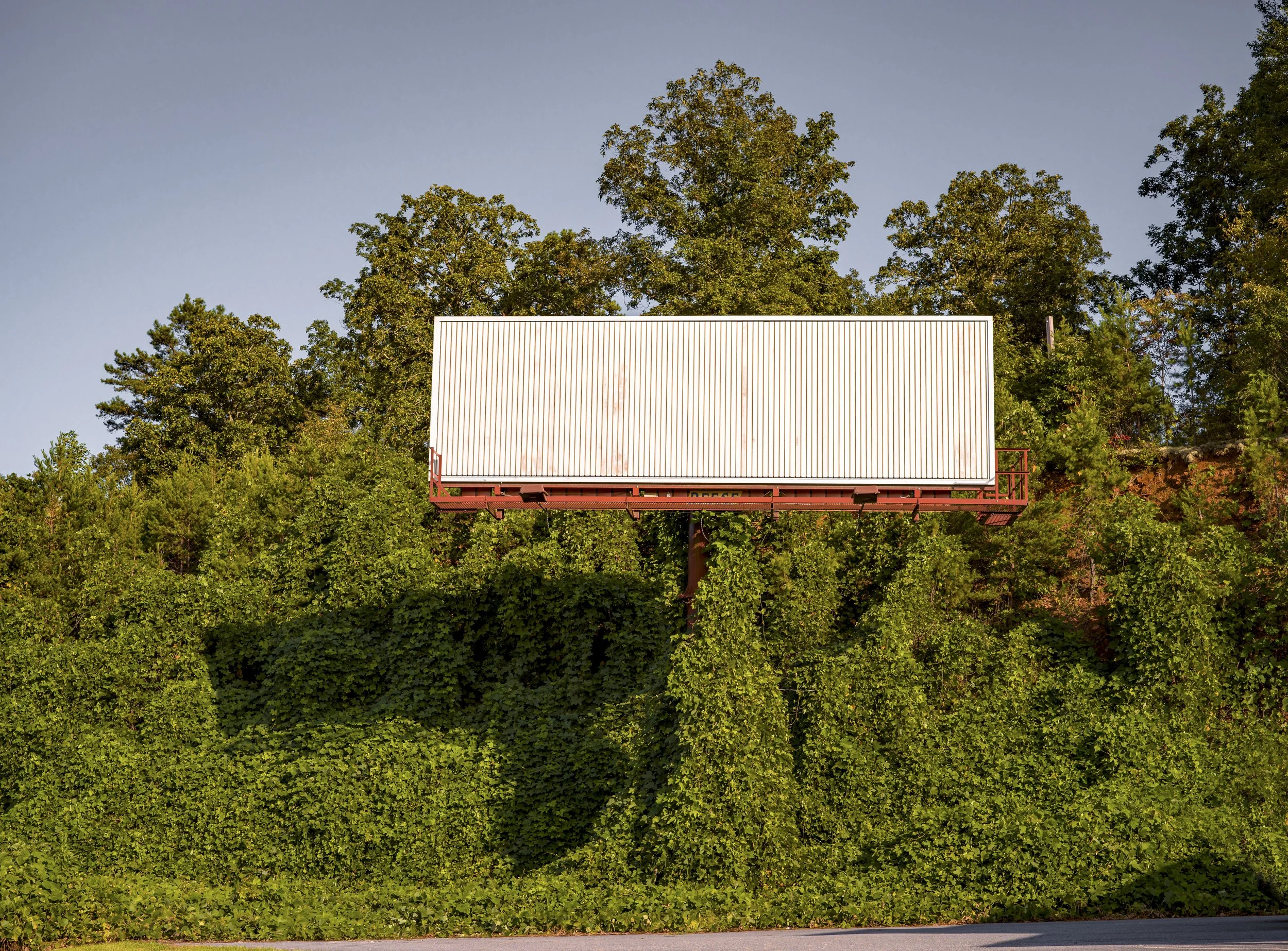 Kudzilla — CASEY LANCE BROWN