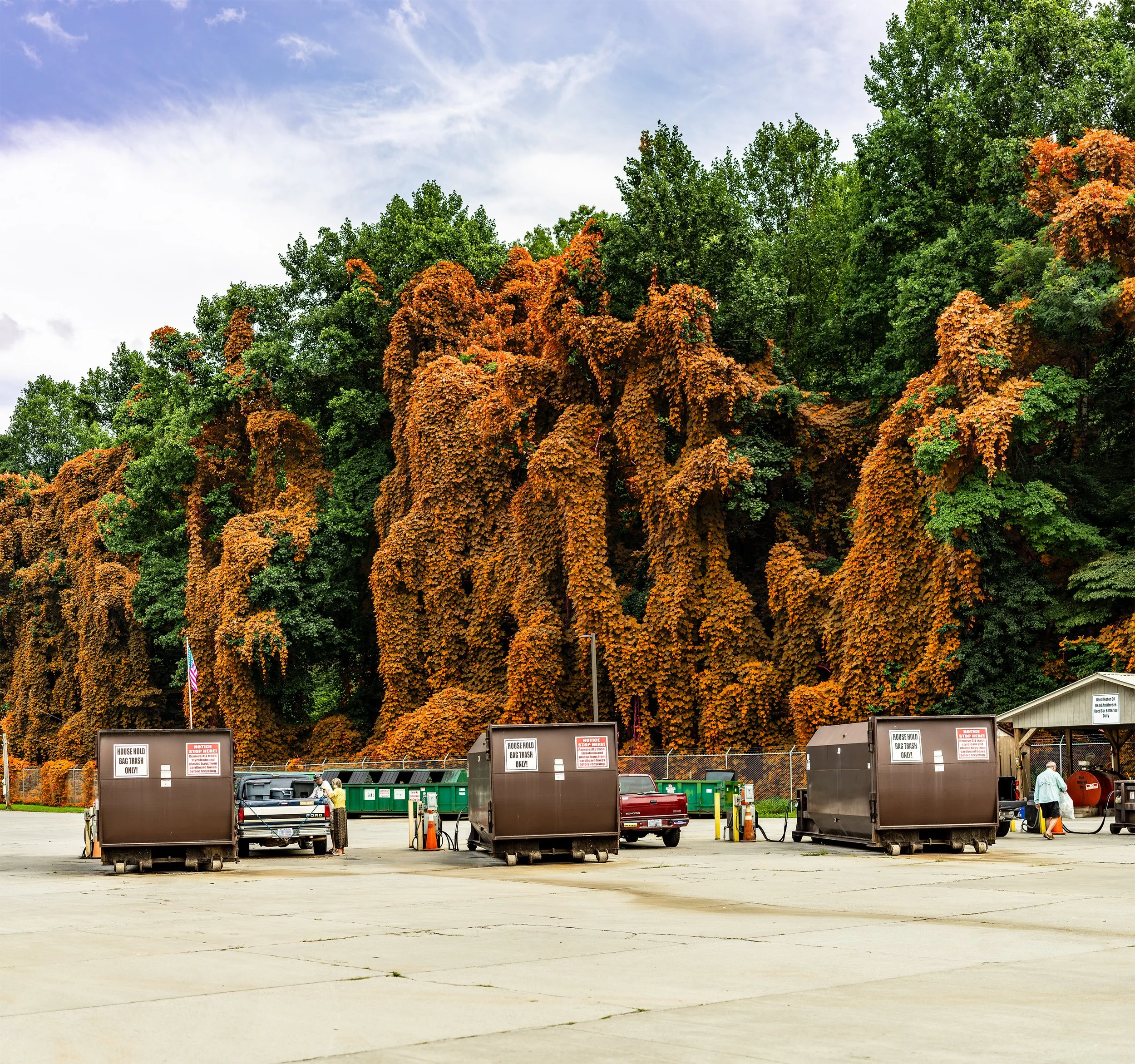 Kudzilla — CASEY LANCE BROWN