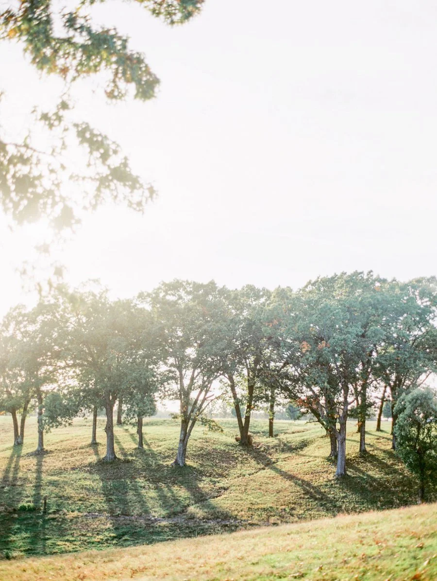 The do's & don'ts of Light and Airy photography — Jordan Brittley