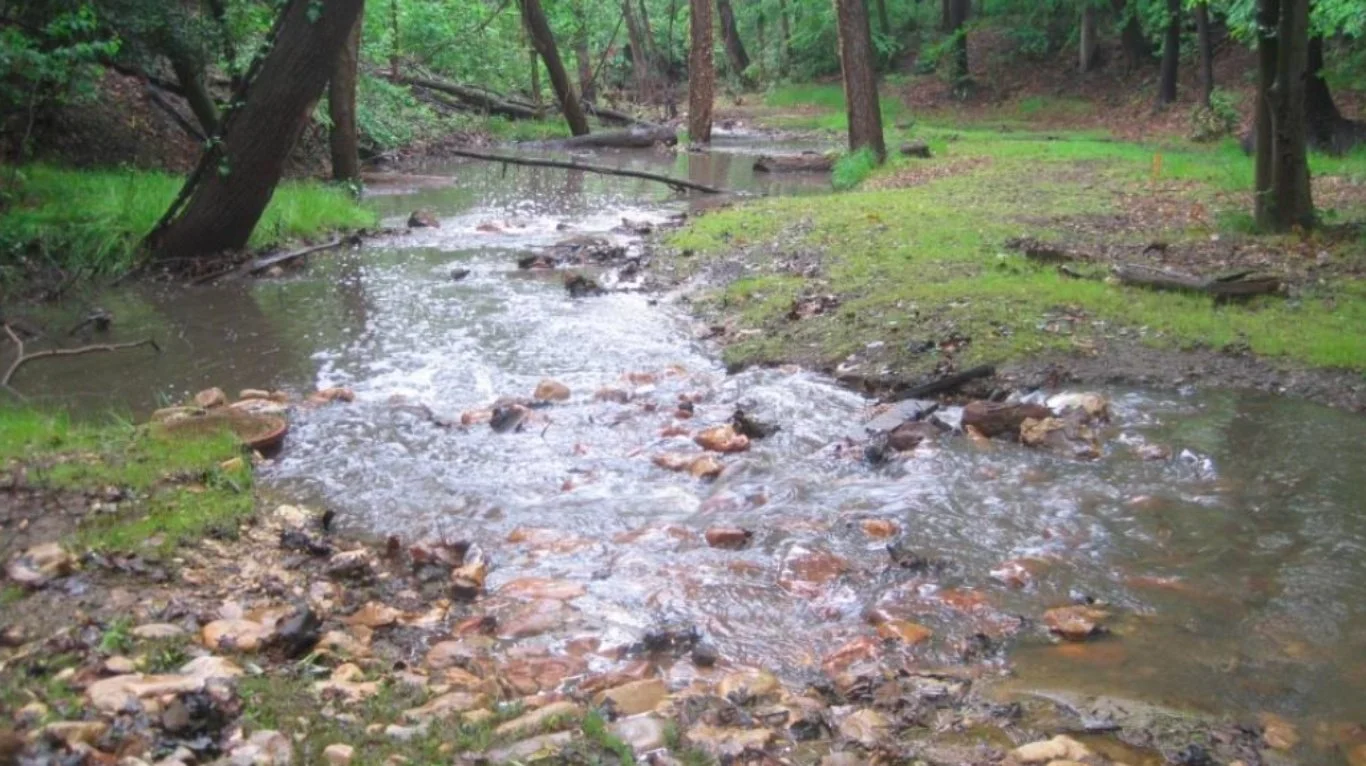 Clean Water Resources — Anacostia Parks and Community Collaborative