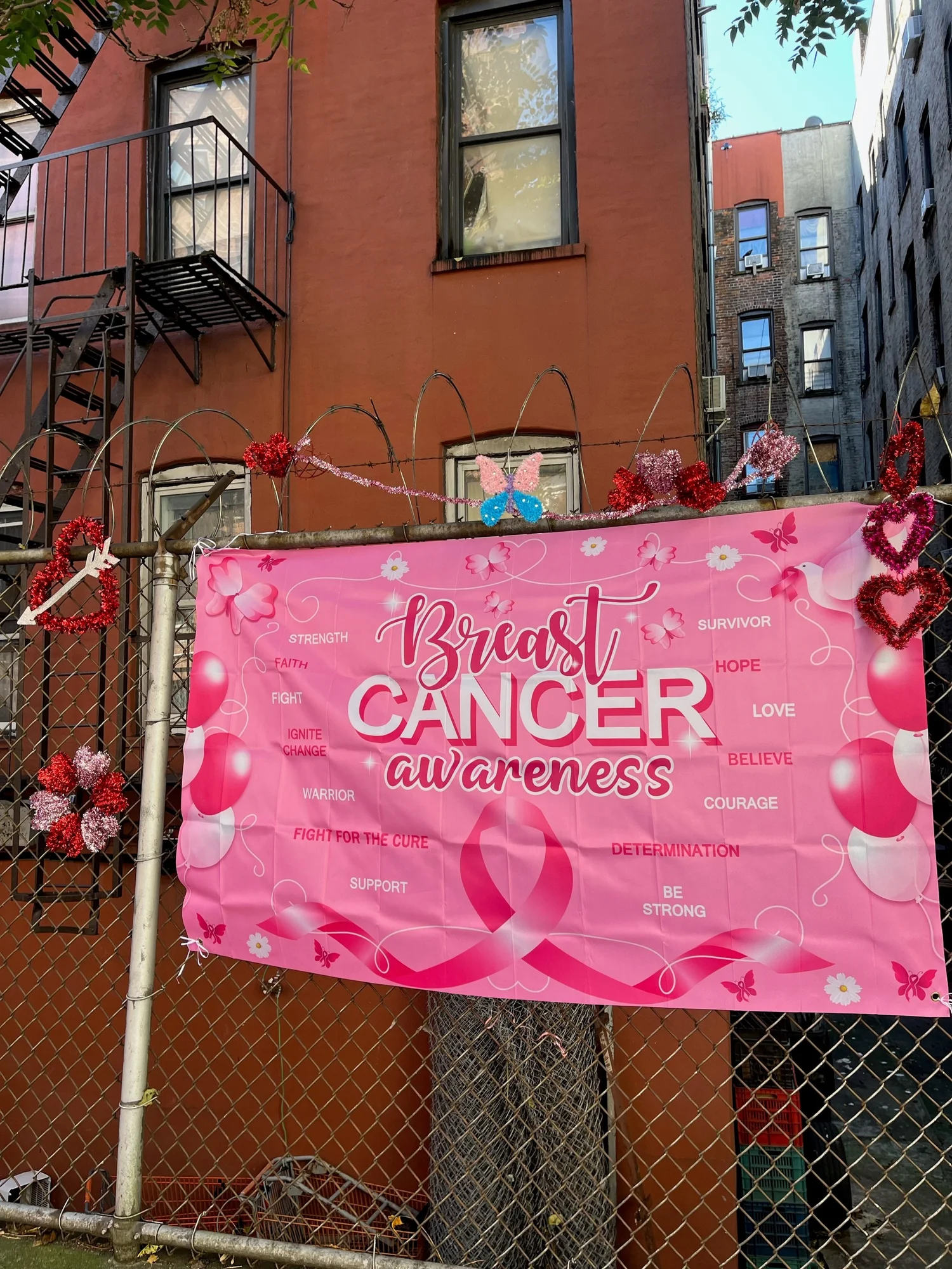 Mammography Screenings Courtesy of American-Italian Cancer Foundation ...