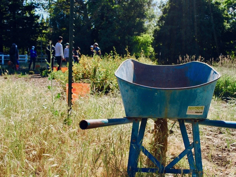 Volunteer Outdoors in Cupertino at McClellan Ranch Preserve ...