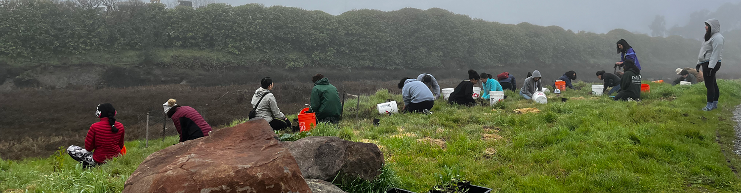 Ravenswood Restoration — Grassroots Ecology