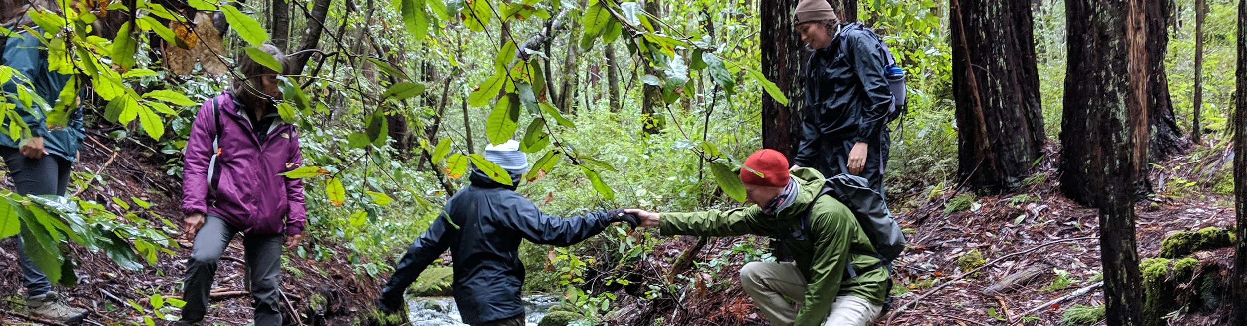 Career Opportunities — Grassroots Ecology