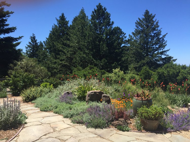 How to Collaborate with Your Landscape: Creating Fire-Resistant Habitat ...