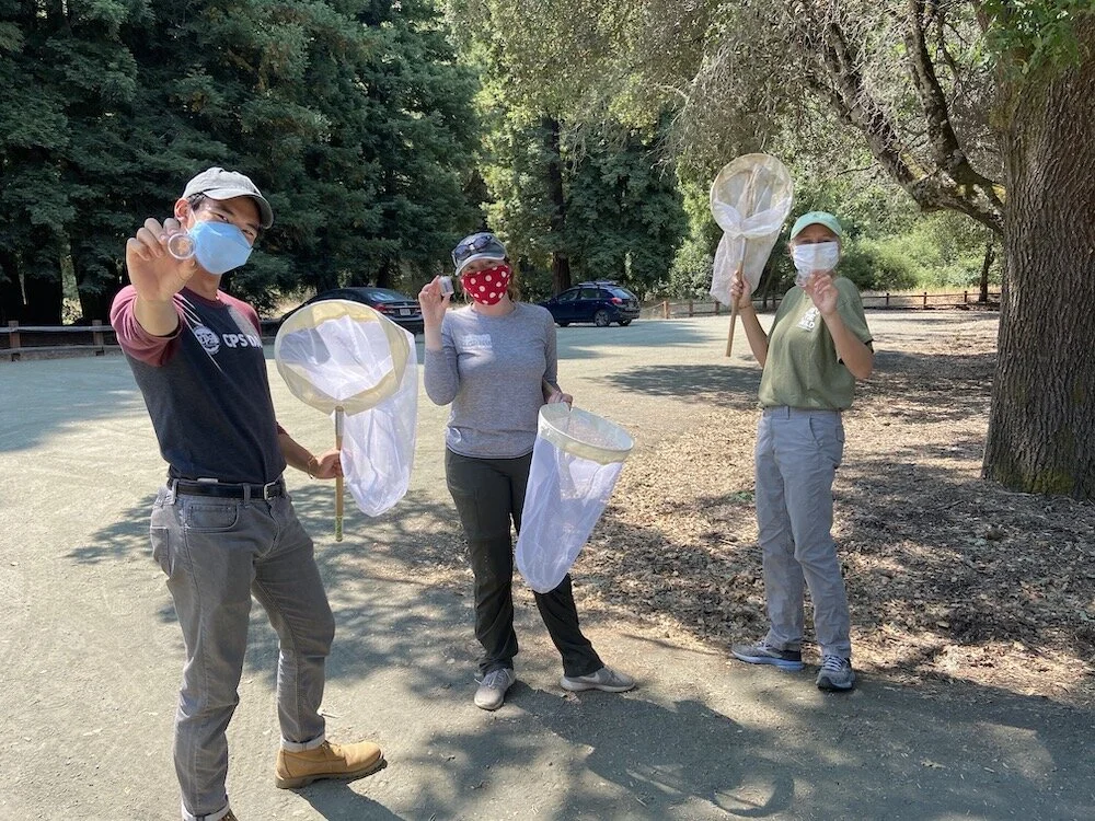 Nature Education for All Ages — Grassroots Ecology