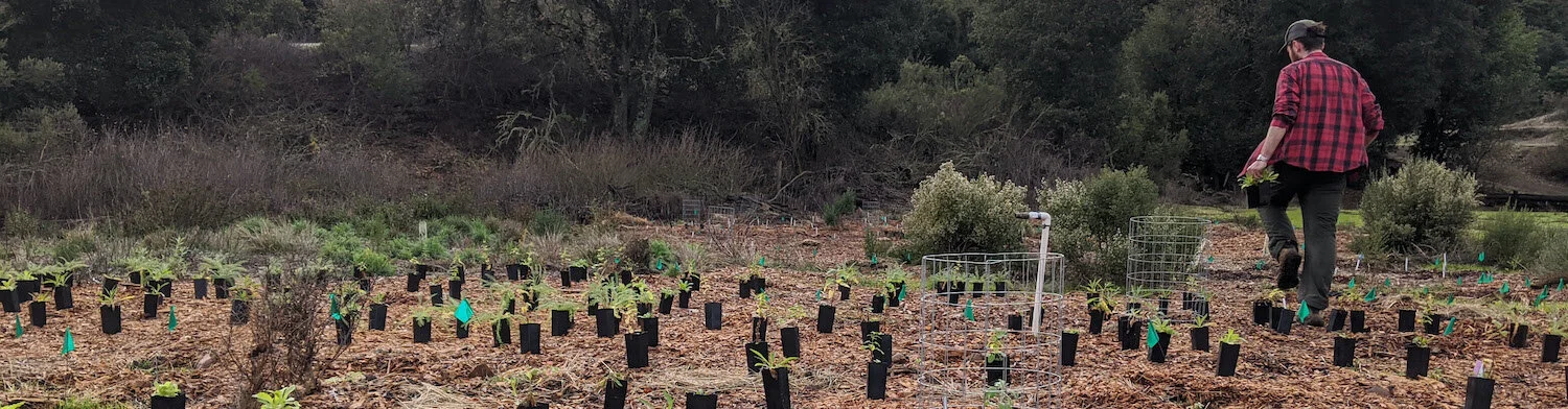 Habitat Restoration Projects — Grassroots Ecology