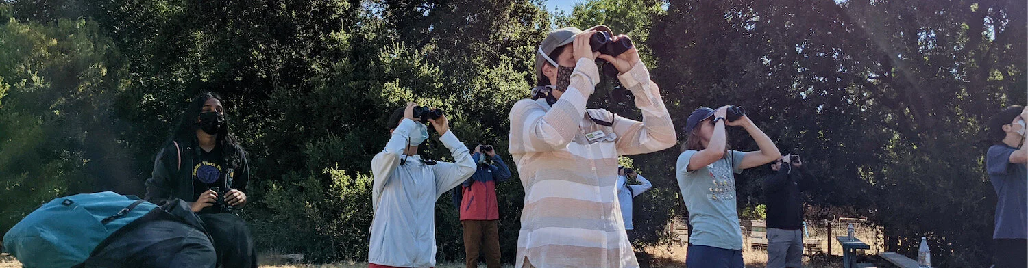 Bay Area Nature Walks — Grassroots Ecology