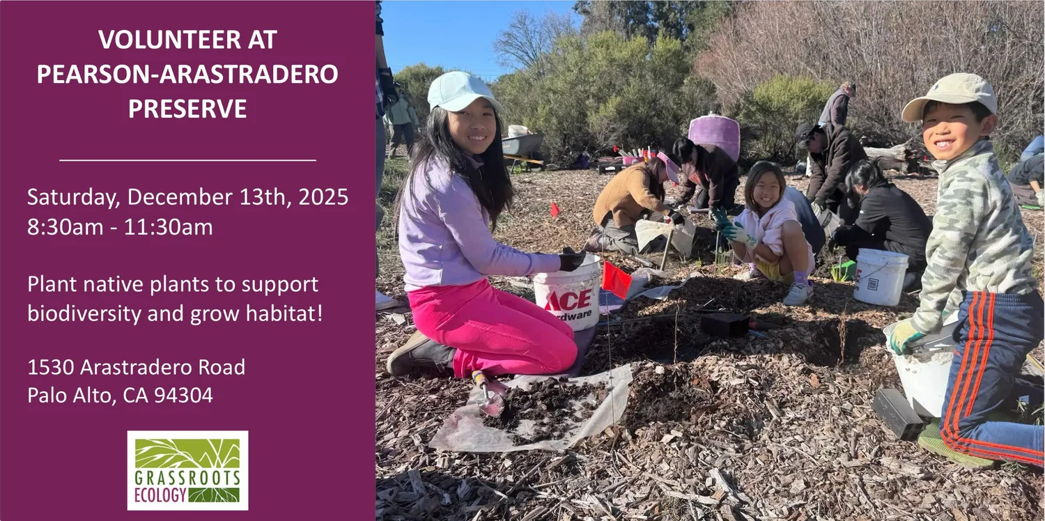 Volunteer Outdoors in Palo Alto at Pearson-Arastradero Preserve ...