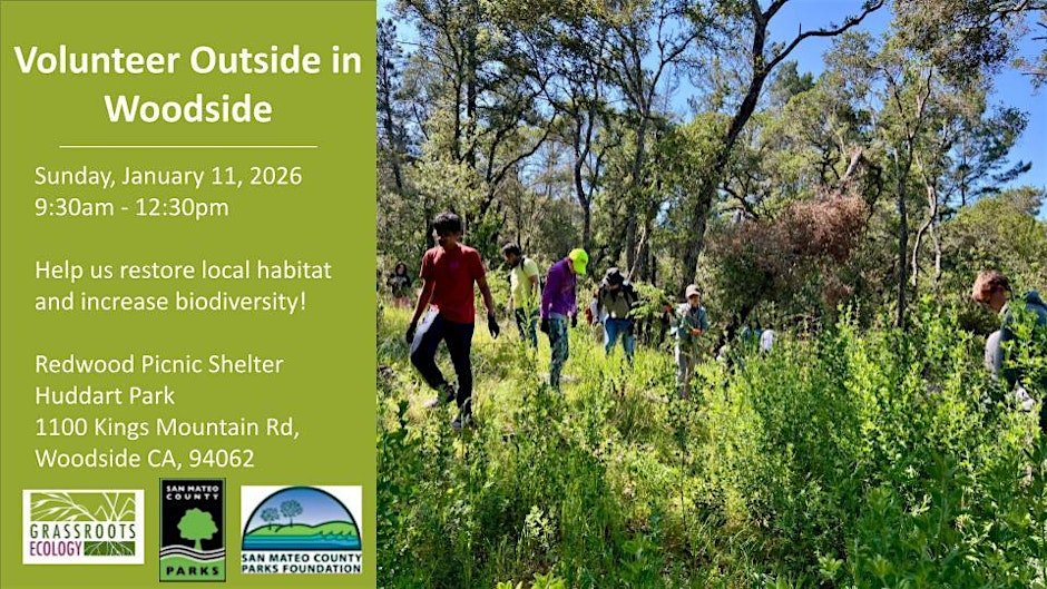 Volunteer Outside in Woodside at Huddart Park — Grassroots Ecology