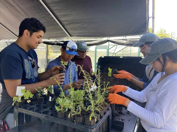 Environmental Internships in the Bay Area — Grassroots Ecology