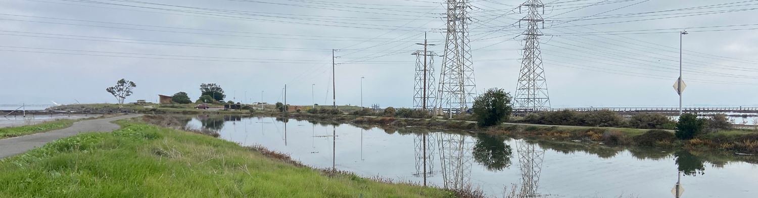 Ravenswood Restoration — Grassroots Ecology