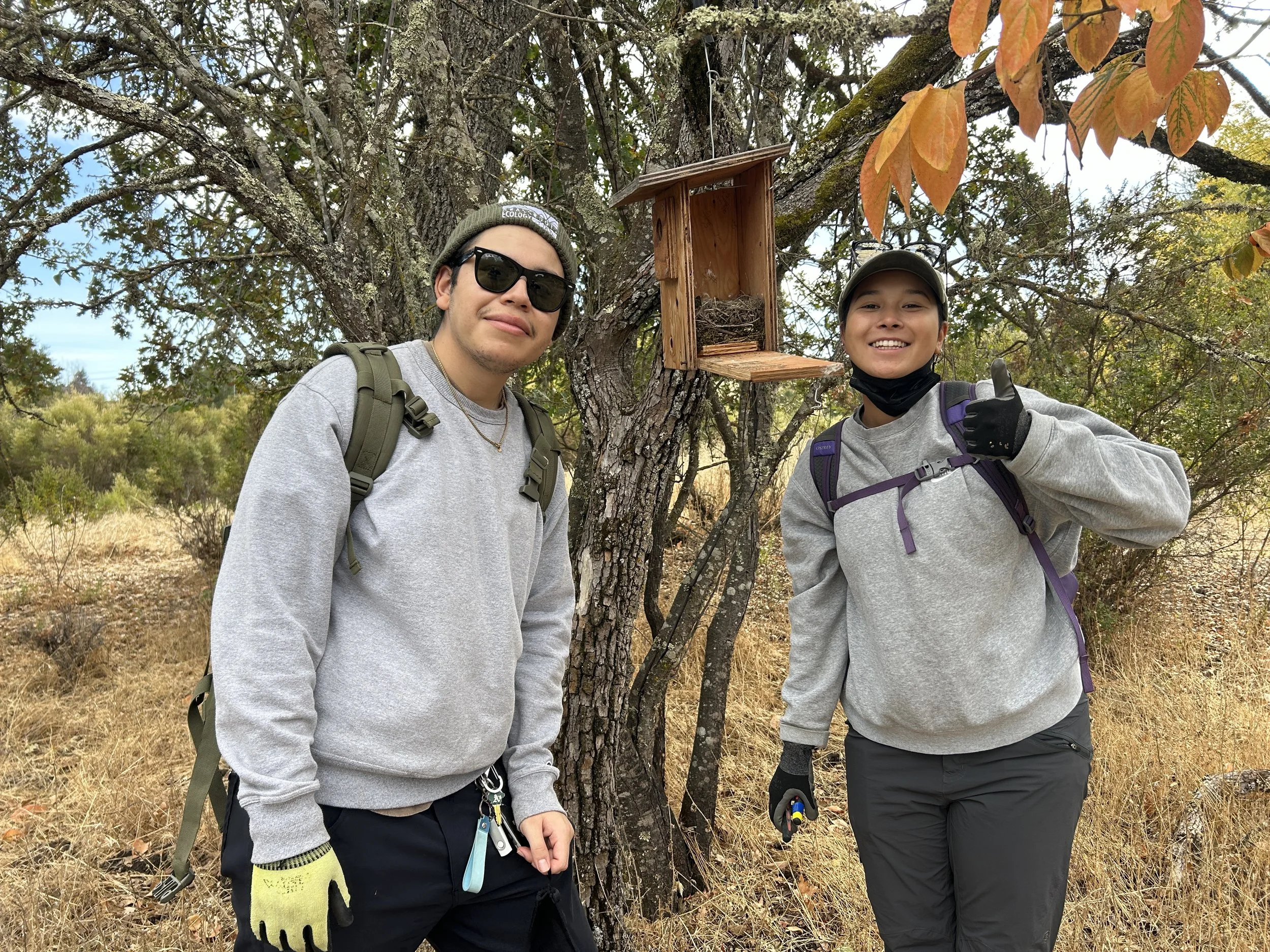 Environmental Internships in the Bay Area — Grassroots Ecology