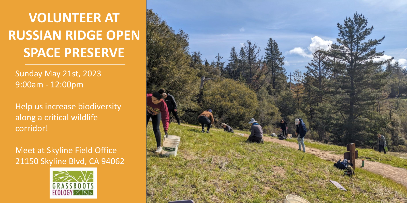 Volunteer at Russian Ridge Open Space Preserve — Grassroots Ecology
