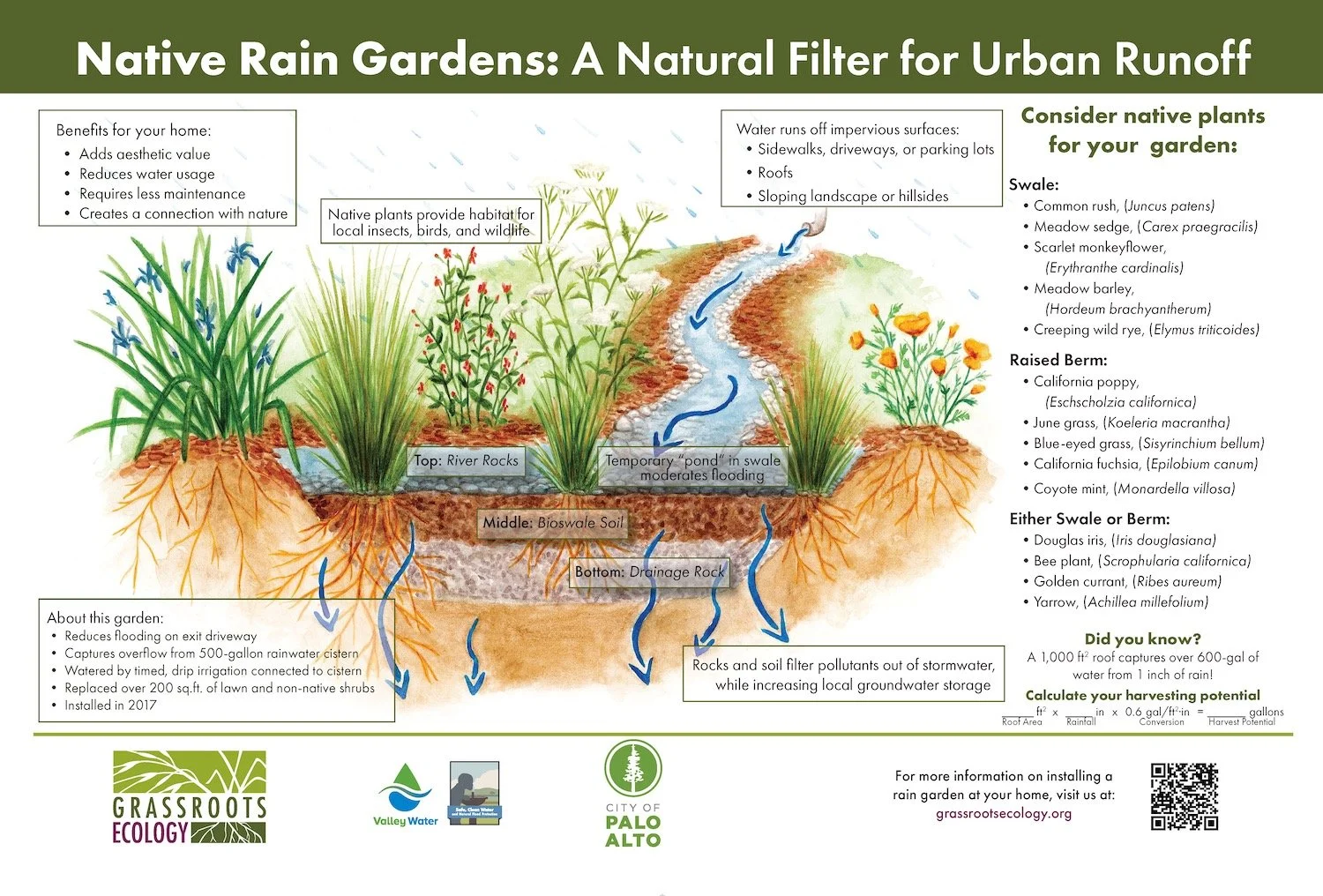 Green Stormwater Infrastructure: Taming the Rapids that Storm our Local ...