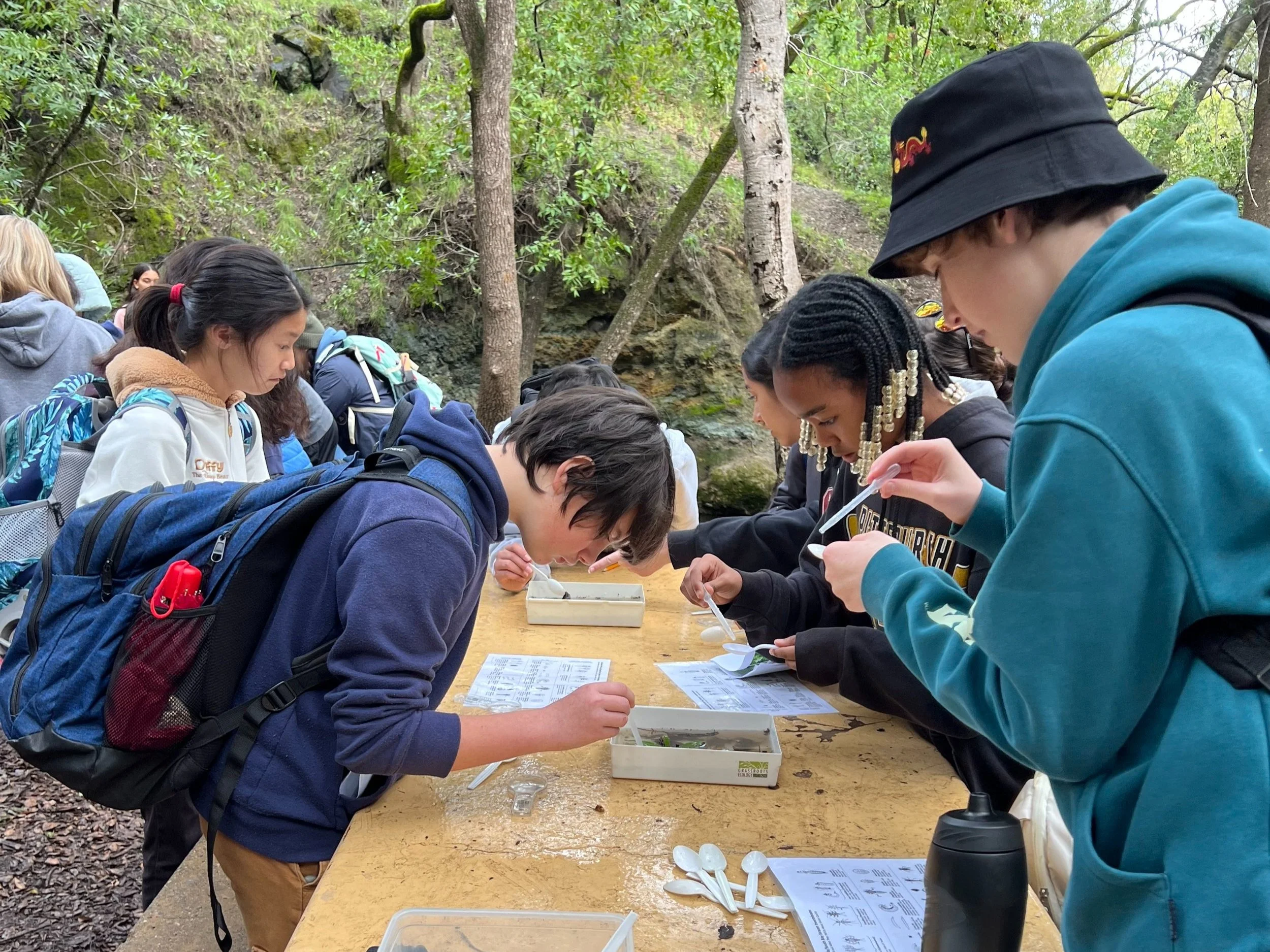 Support Local Biodiversity — Grassroots Ecology