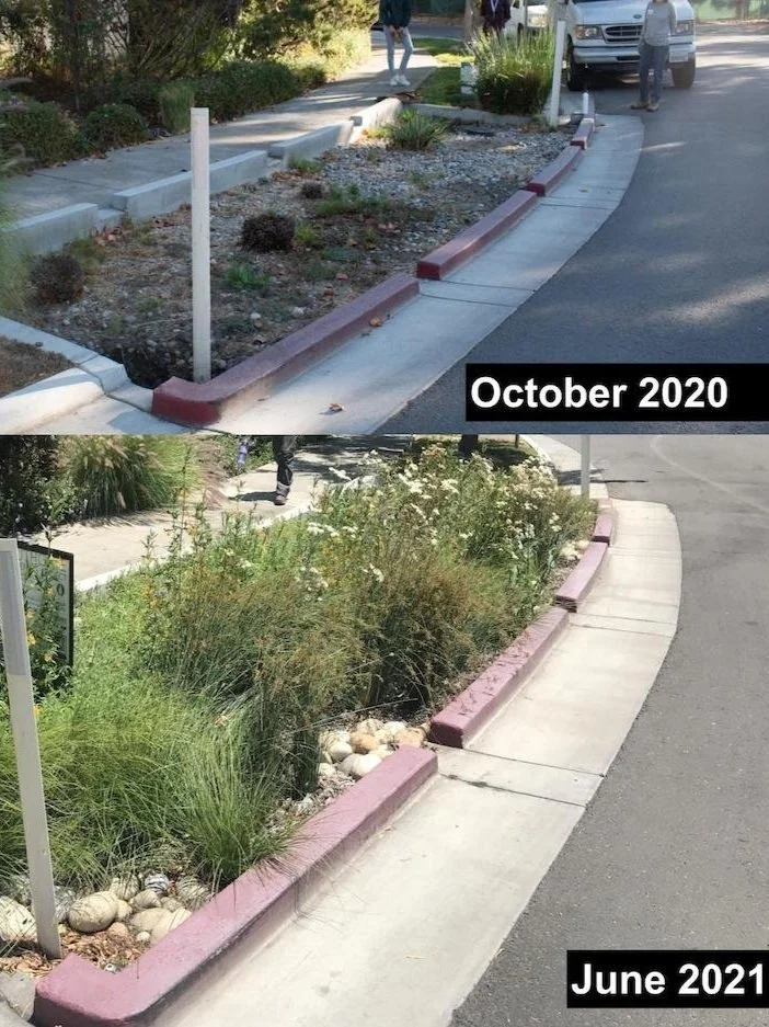 Green Stormwater Infrastructure: Taming the Rapids that Storm our Local ...