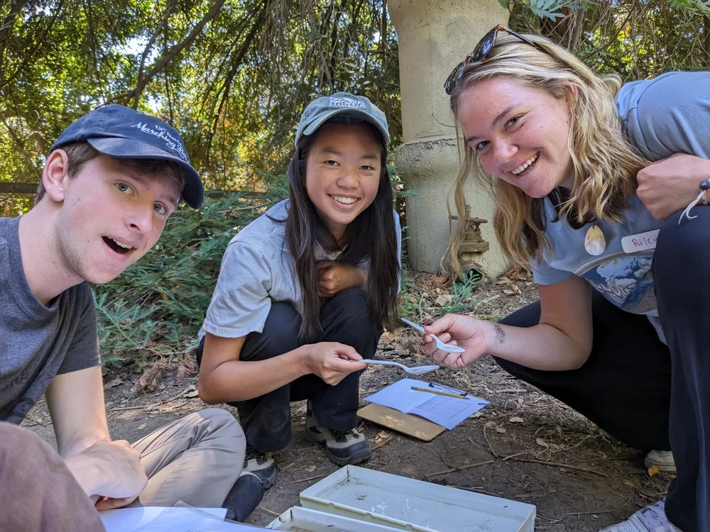 Environmental Internships in the Bay Area — Grassroots Ecology