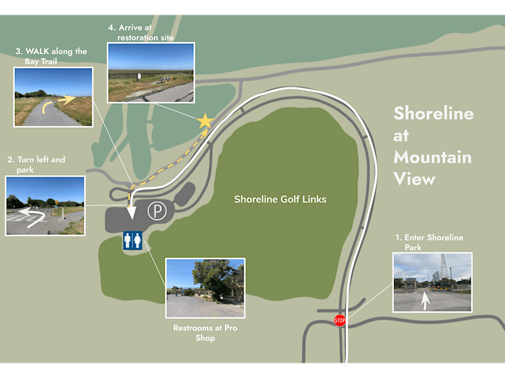 Volunteer Outdoors in Mountain View: Shoreline Marsh Habitat ...