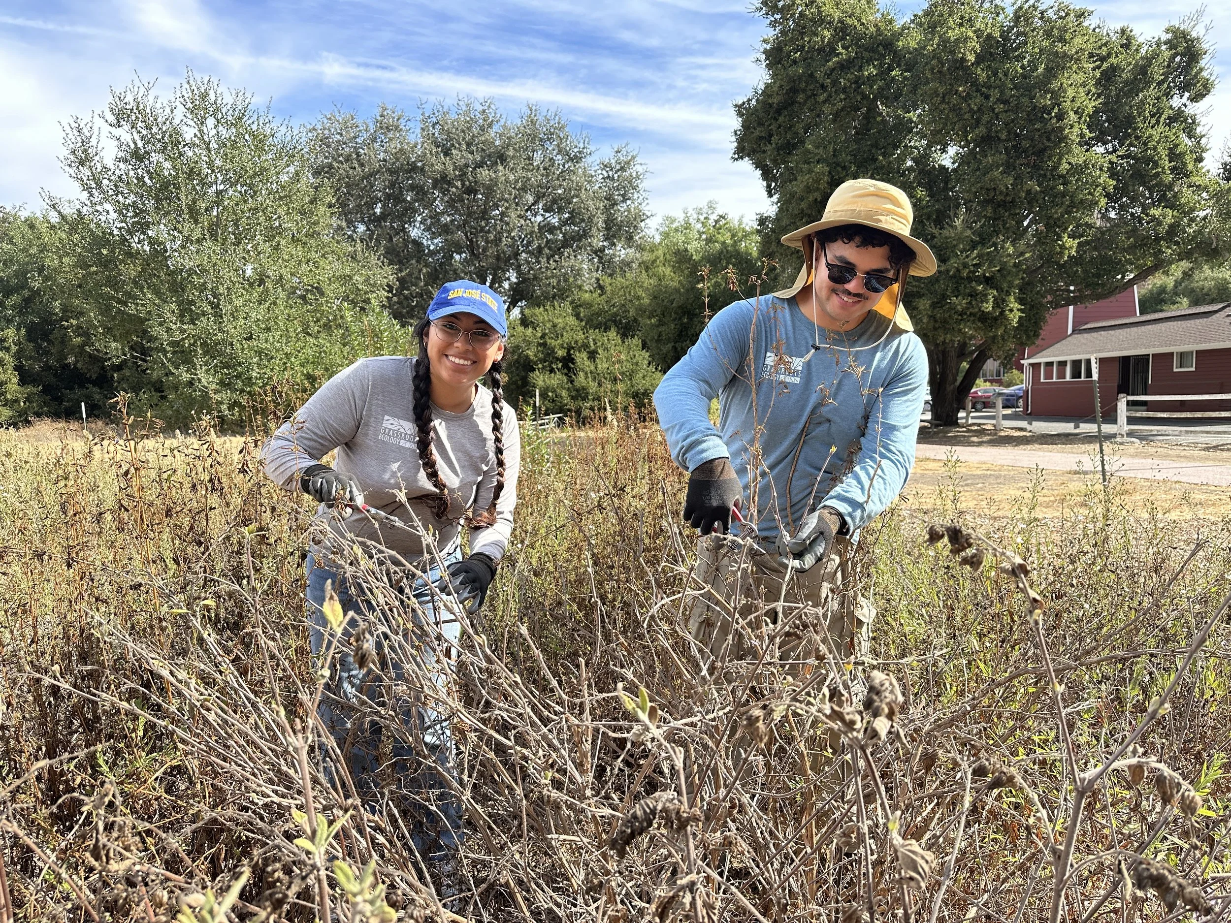 Environmental Internships in the Bay Area — Grassroots Ecology