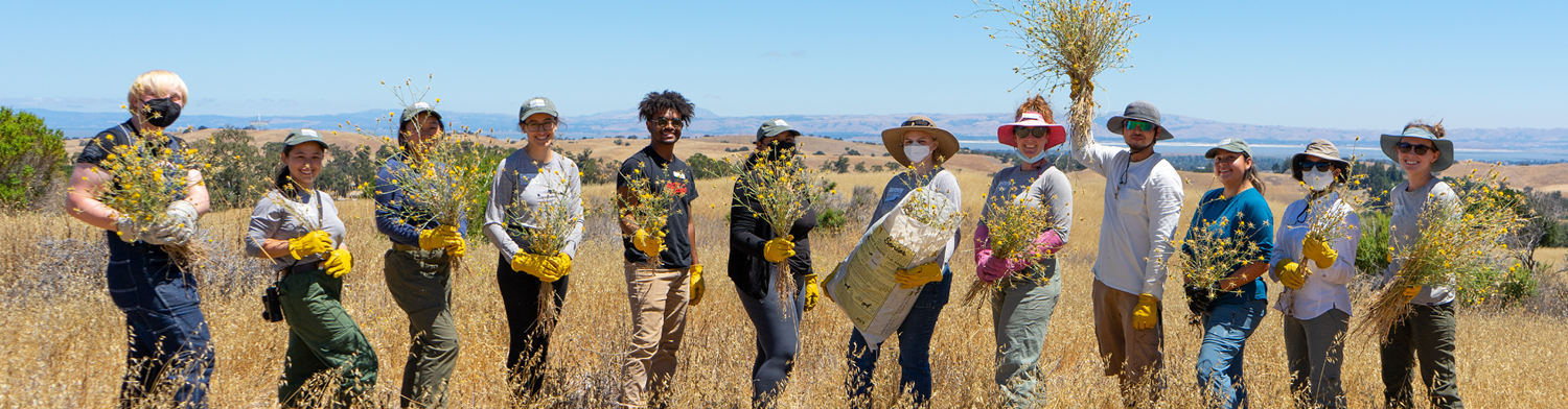 Environmental Internships in the Bay Area — Grassroots Ecology
