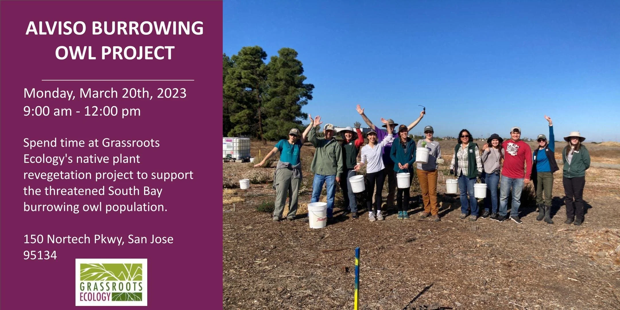 Volunteer Outdoors in Alviso at the Burrowing Owl Project on March 20, 2023 — Grassroots Ecology