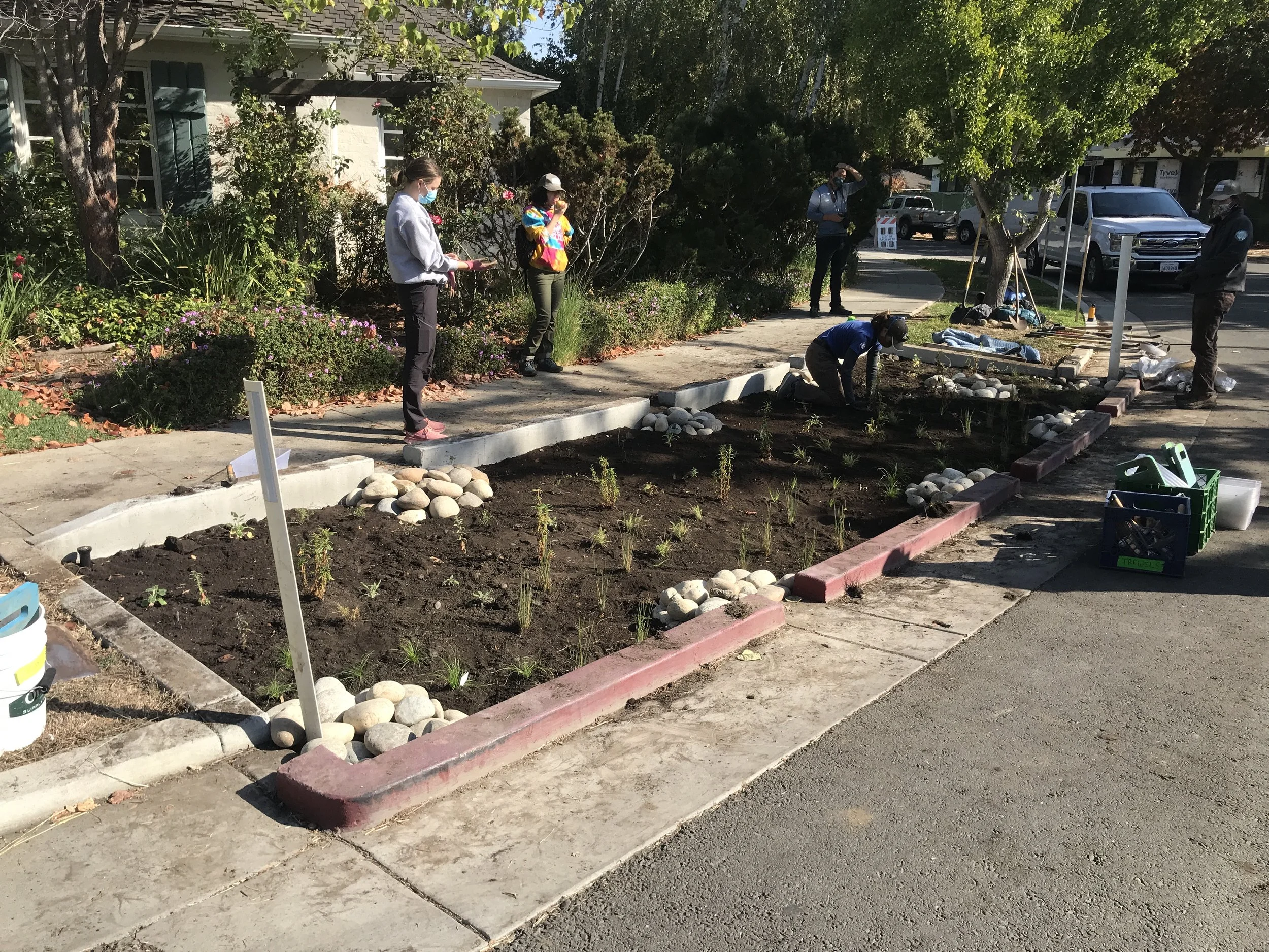 Urban Ecology: Nature in our Cities — Grassroots Ecology