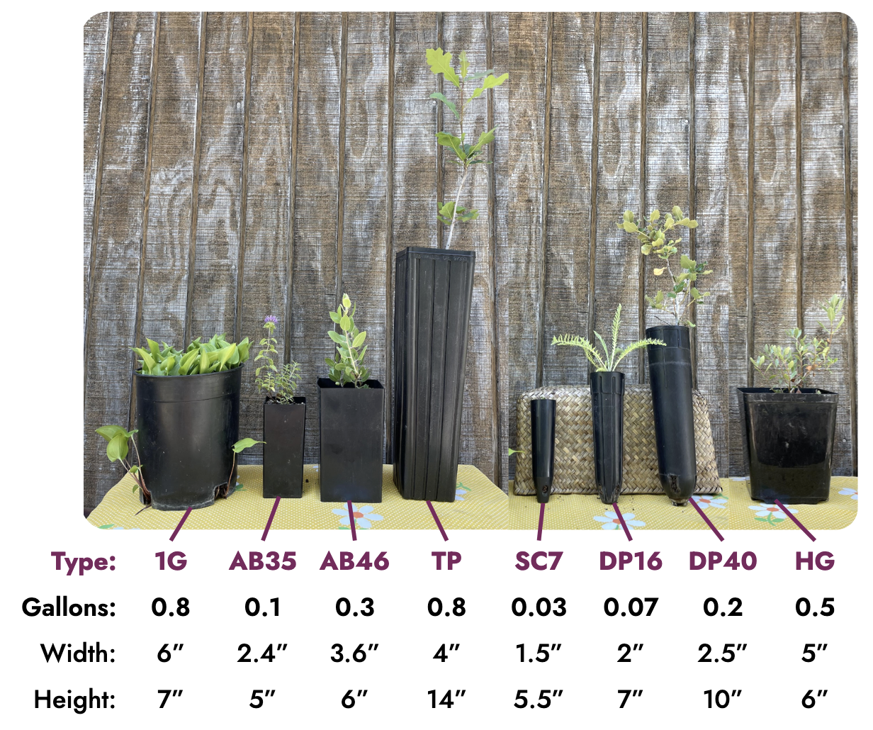 California Native Plant Sales — Grassroots Ecology