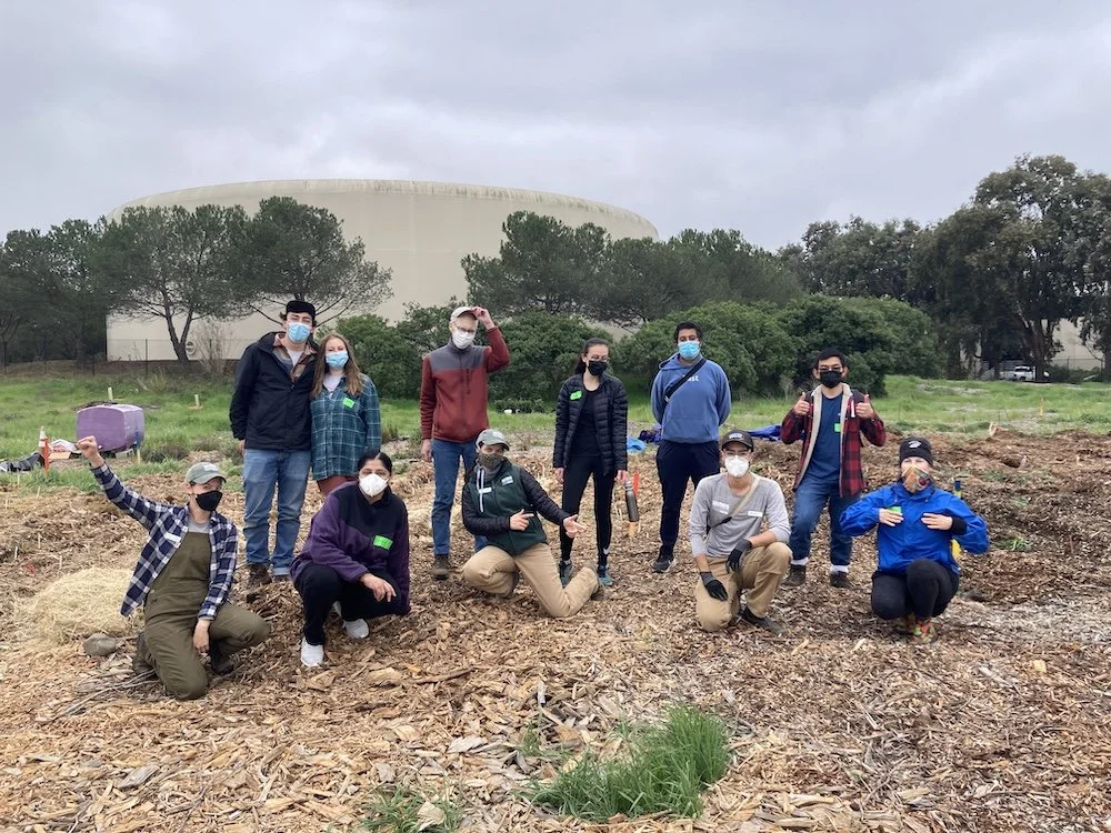 Volunteer Outdoors in San Jose at Alviso Bufferlands — Grassroots Ecology