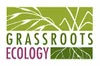 Native Plant of the Month: California Native Bunchgrasses — Grassroots ...