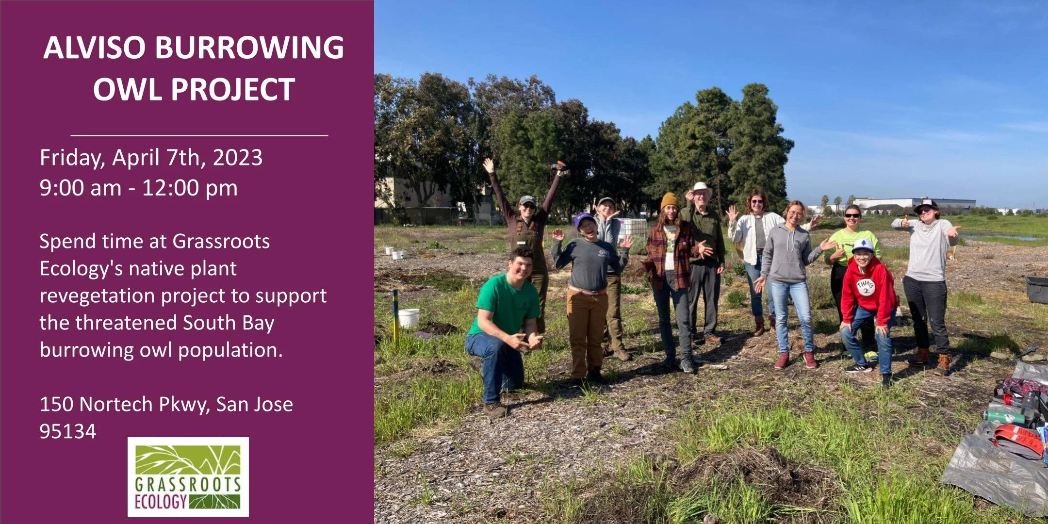 Volunteer in Alviso, San Jose at the Burrowing Owl Project on April 7, 2023 — Grassroots Ecology