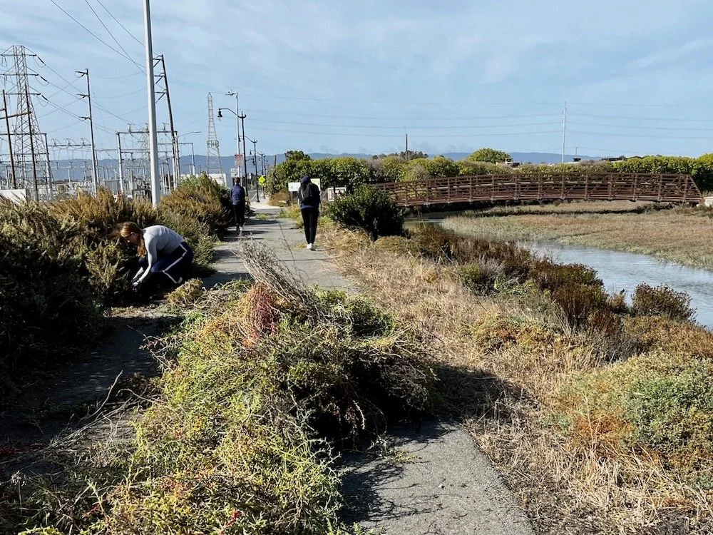 Volunteer Outdoors in East Palo Alto at Ravenswood — Grassroots Ecology