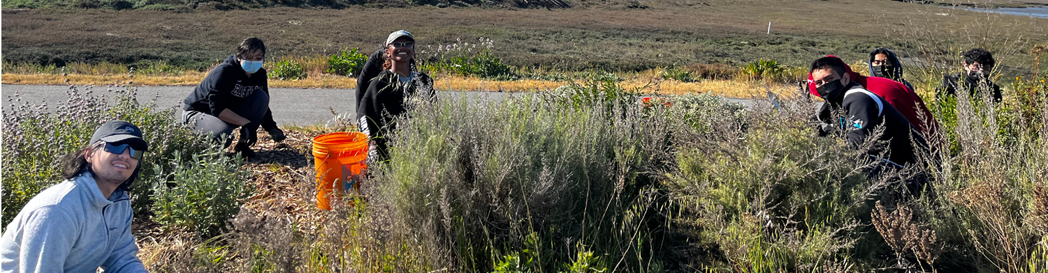 Cooley Landing Restoration — Grassroots Ecology