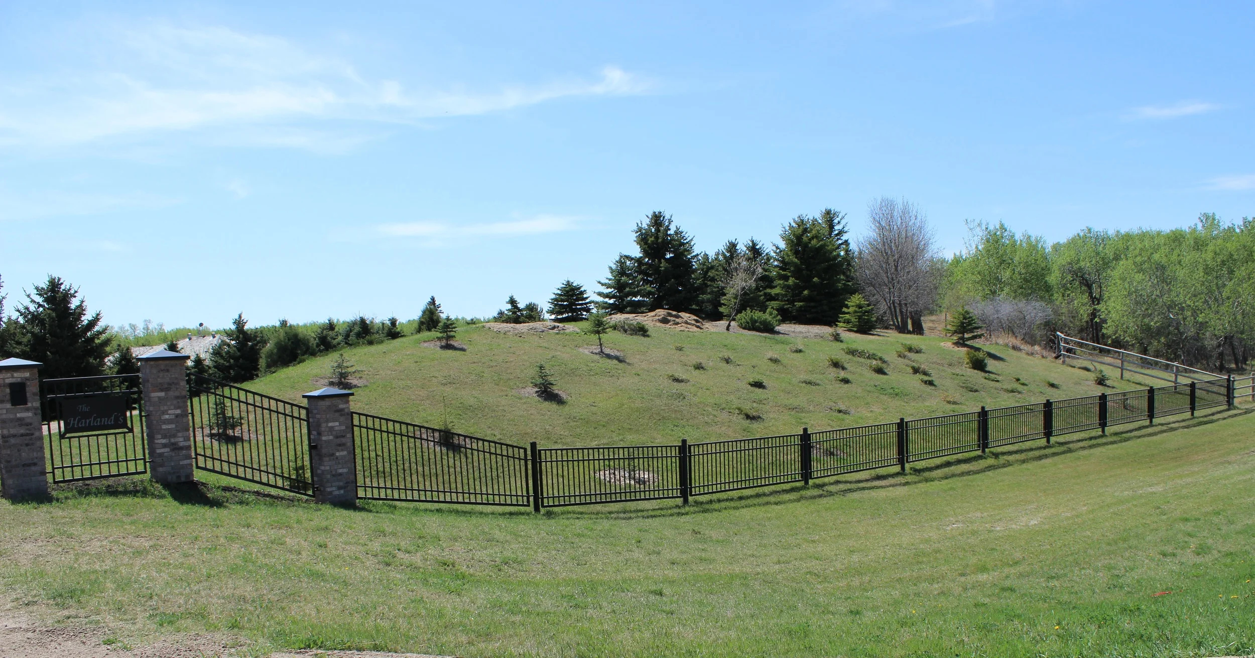Projects — Iron Will Metalworks ltd.